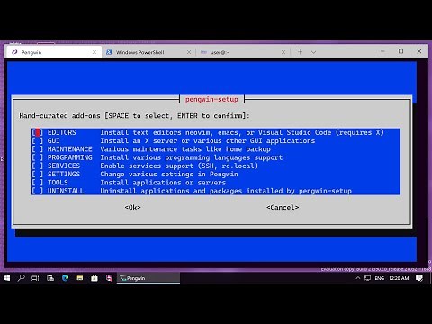pengwin-setup walkthrough