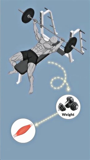 Push-Ups vs Bench Press — Which Builds More Chest? #CaptainKaluu01