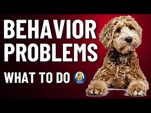 Pro Dog Trainer’s Secret to Help Your Naughty Dog #71