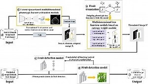 Smart Orchards Get Smarter: New AI Method for Fruit Labeling | Newswise