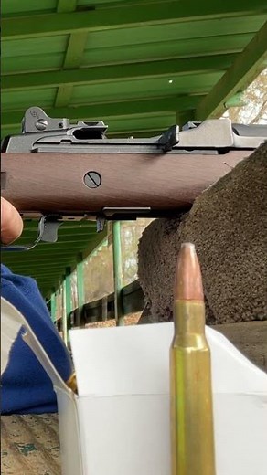 Ruger mini 14 with Techsights