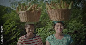 Two happy smiling Burmese farmers who powder to their cheeks, known as "Thanaka", carry the baskets of corns on their heads and are able to walk without falling off the basket and without hands hold.