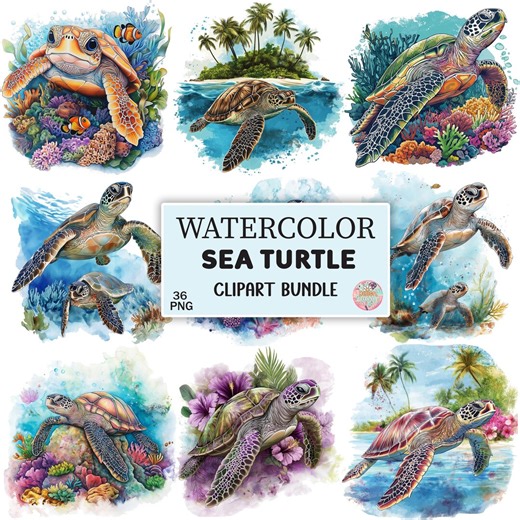 Watercolor Sea Turtle Clipart Bundle, Ocean Turtle PNG, Tropical Marine Life Digital File, Summer Png, Sea Animal Png Scrapbooking, Stickers - Etsy