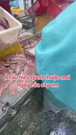 Khẩu Hiệu Thú Vị Của Công Ty Bạn