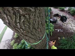 Best Cabling Video Ever