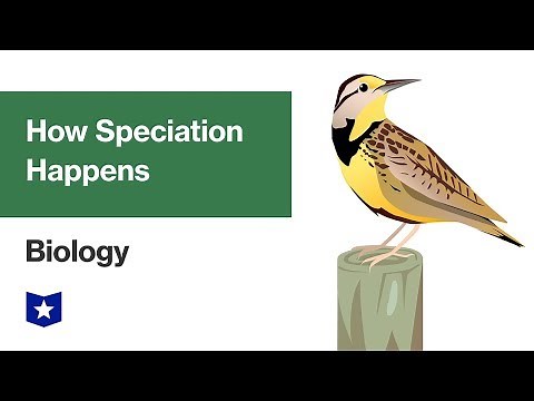How Speciation Happens | Biology