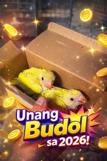 Unang budol sa 2026😭🤣 #newbird #breederslife #BirdLover #BirdBreederPH #birdsoftiktok