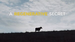 102K views · 846 reactions | MINI-DOCUMENTARY PREMIERE: “A...