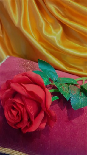 Have you visited the Halifax Central Library today? 🤔 If you have, you’ll have seen our panto display for this year's family pantomime 🌹 Beauty and The Beast 🌹 that we put up this morning! If you’ve not been, then well, you know what to do! 👀 Make memories this festive season with our fun-filled Christmas panto spectacular, the perfect treat for all the family! We can’t wait to welcome you through our doors again, and into a world of magic, wonder and that traditional panto pizzazz you all k