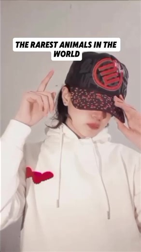 Discover the Rarest Animals in the World