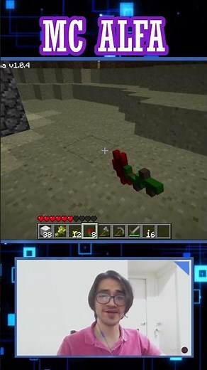 This is what it feels like to play Minecraft Alpha 5 29