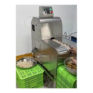 [Hot Item] Small Automatic Longan Peeling Peeler Equipment Nucleating Pitting Core Removing Remover Machine