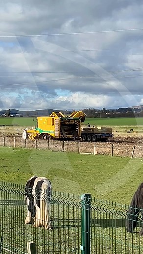 ⭐OXBO AR-4BX Harvesting Potatoes near Agricar Forfar⭐ 📍Filmed beside our Agricar’s Forfar depot, this AR-4BX four-row root crop harvester in full flow without breaking stride — powering through the soil and lifting clean, consistent rows of potatoes with ease. As the official OXBO dealer for the whole of Scotland, Agricar provides sales, service, and parts for the AR-4BX harvester and AT applicators. Whether you’re after new machinery, parts, or expert servicing, our team has you covered from I