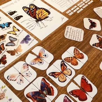 Butterfly Unit Study | Life Science & Nature Study | Preschool & Elementary