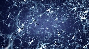 Neuron Network Activity Background Stock Motion Graphics SBV-307982718 - Storyblocks