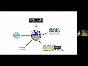 Fish 501 - #05 Getting data for models: FishBase & SeaLifeBase (Deng Palomares, UBC)
