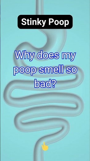 Why does my poop smell so bad?