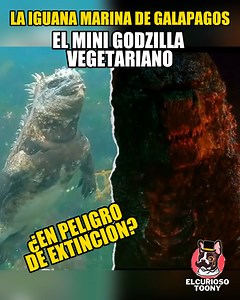 EL MINI GODZILLA DE LAS ISLAS GALÁPAGOS 😮 | ELCURIOSOTOONY