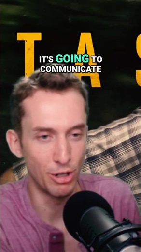 Task Review | Nowstalgia Reviews