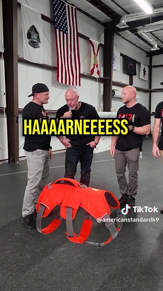 Top 3 Worst Dog Training Tools You Should Avoid