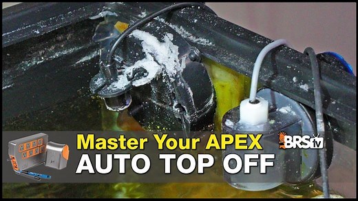 Stop carrying those cumbersome jugs of water to refill your ATO reservoir and protect yourself against floods, dry run, overfills and salinity swings using your Neptune Systems Apex! In this episode, Randy shows you how to MASTER your ATO system using an Apex and walks us step by step through the setup of Neptune's ATK. Shop Neptune Systems ➡️ http://brs.li/BRS_NeptuneApex . Shop ATO Systems ➡️ https://brs.li/3cpEqOY . Watch on YouTube ➡️ https://brs.li/30pV25x . Join #AskBRStv Facebook Group ➡️