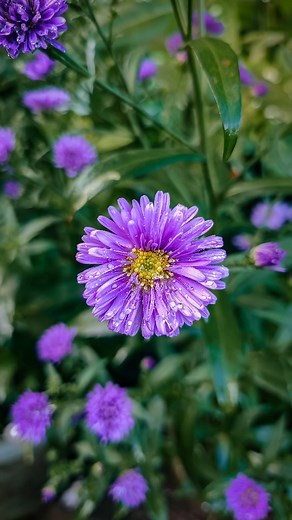 2.5K views · 167 reactions | “Banyak yang kira harus punya kamera...