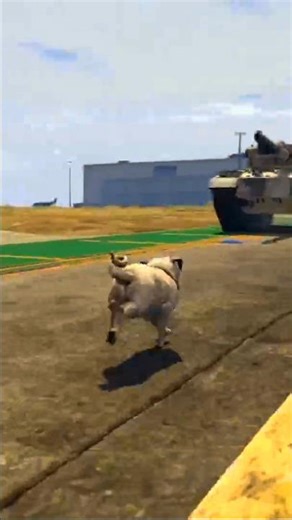 Dog on the airport runway 😨⚠️.. #gta #short #shorts