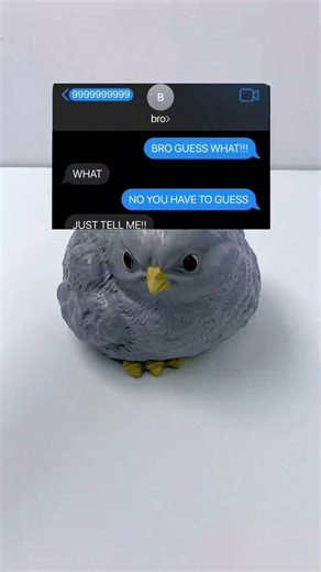 The most outrageous text message compilation ever, full of twists, the ending shocked me.