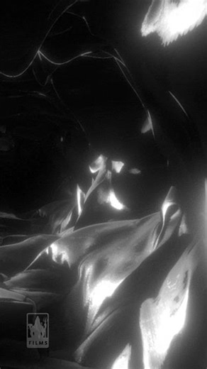 Best Camera Recording App for Android | #shorts