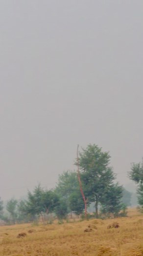 حقیقت💕 | The villagers