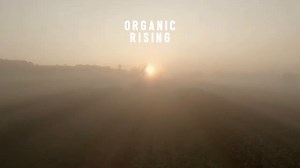 21 reactions | ORGANIC RISING Available TODAY:...