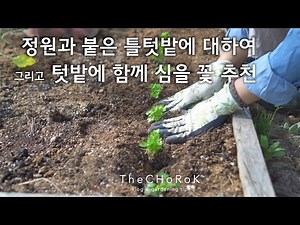 vegetable garden box | Recommended flowers to plant in the vegetable garden | Easy to manage