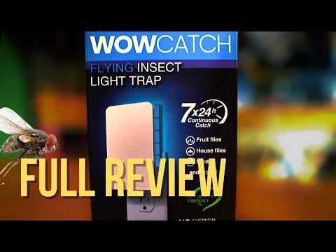 WOWCatch Flying Insect Trap Review | Garage Tested Bug Killer That Actually Works!