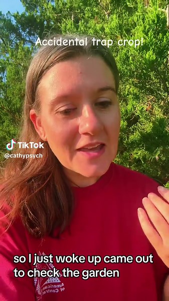 Trap Crops: Nature's Solution for Pest Control