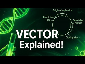Complete Concept of Vector in Genetic Engineering