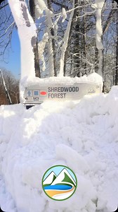3.6K views · 39 reactions | Big News!! Shredwood Forest is open for day time skiing this weekend!!! | Powder Ridge Park | Facebook