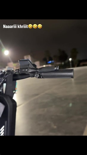 Lalux: Les Aventures de Bison et Trottinette