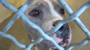 17K views · 359 reactions | PTS - moved to RIP Album 01/13 Please...