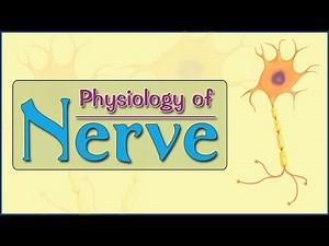Easy Physiology | Nerve | 1-Resting Membrane Potential