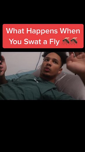 Why do people own fly swatters? (Full video on my channel: LickXander) #comedy #skit #parody #fyp #foru #funny #alttiktok #comedian #youtube #youtuber