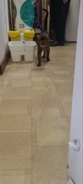 6.6K views · 1.2K reactions | You see…. We can be told his prognosis...