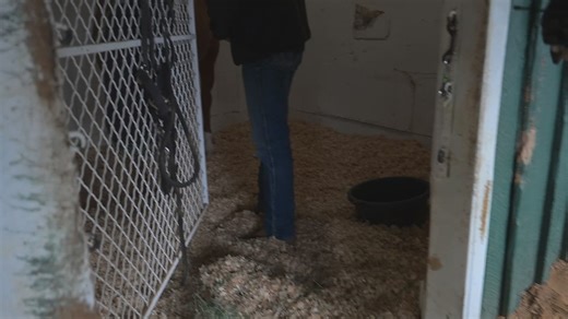 The Marine Corps Mounted Color Guard East Coast Tour: Sgt. Davis Interview