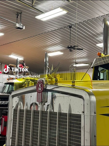 Innovative Bug Shield by Dane Nelson