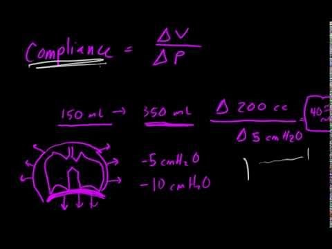 Pulmonary Compliance: The Basics