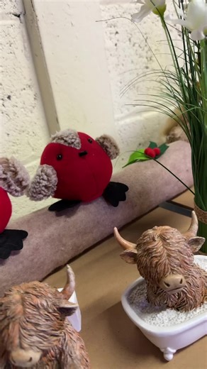 #tiktokmademebuyit #christmasdecor #homedecor #robin #draughtexcluder Robin Draught Excluder