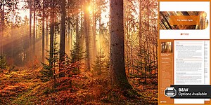 KS3 Earth and Atmosphere Lesson 6: The Carbon Cycle Lesson Pack