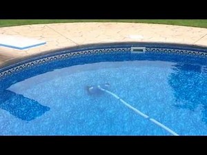 Keith G's Reveiw - Zodiac Baracuda MX8 Pool Cleaner - Part 1