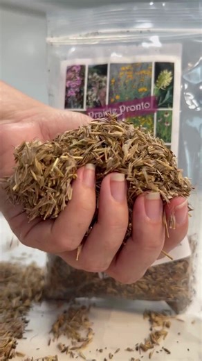 Rooted in knowledge, growing with purpose!華 Here is Prairie Legacy...