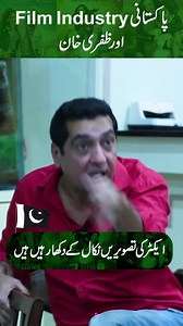 330K views · 4.1K reactions | Zafri Khan Explains Why Pakistan Film Industry Is In Free Fall ! #ZafriKhan #HassanMurad | Punjabi Panda | Facebook