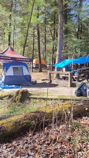 Taking everything down. LoCo Blackstone Products CanCooker Cain's Family Market #brucemitchell #swamppeople #serpentinvasion | Bruce Mitchell